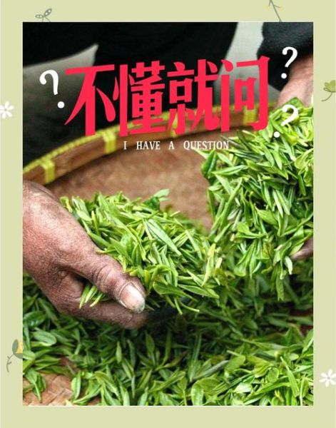 绿茶图片大全大图_如何挑选高清原图-第3张图片-山城妙识 绿茶图片大全大图_如何挑选高清原图-第3张图片-山城妙识