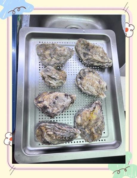 烤海蛎子蒜泥怎么做_蒜泥酱调制比例-第1张图片-山城妙识 烤海蛎子蒜泥怎么做_蒜泥酱调制比例-第1张图片-山城妙识