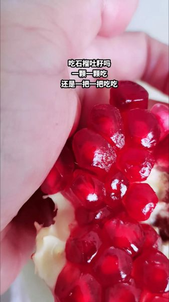 石榴籽能吃吗宝宝_宝宝吃石榴籽安全吗-第3张图片-山城妙识 石榴籽能吃吗宝宝_宝宝吃石榴籽安全吗-第3张图片-山城妙识