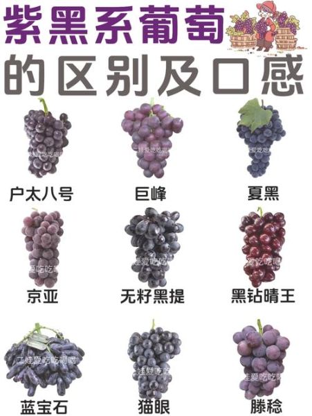 为什么是黑了木耳紫了葡萄_变黑变紫的原因-第1张图片-山城妙识 为什么是黑了木耳紫了葡萄_变黑变紫的原因-第1张图片-山城妙识