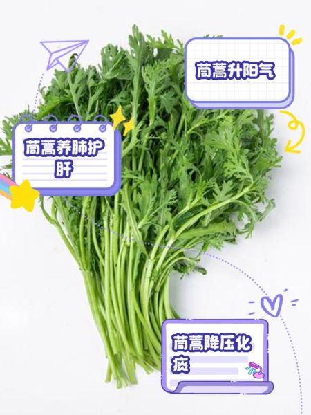 野菜蒿菜图片及名字_蒿菜和茼蒿的区别-第2张图片-山城妙识 野菜蒿菜图片及名字_蒿菜和茼蒿的区别-第2张图片-山城妙识
