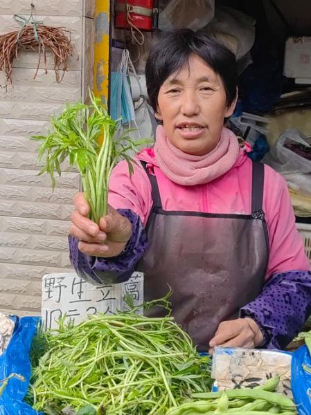 野菜蒿菜图片及名字_蒿菜和茼蒿的区别-第3张图片-山城妙识 野菜蒿菜图片及名字_蒿菜和茼蒿的区别-第3张图片-山城妙识