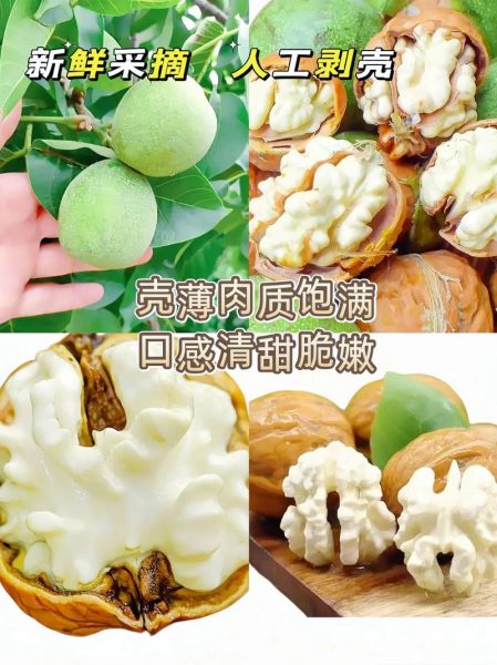 剥核桃皮最快的方法_核桃去壳技巧有哪些-第2张图片-山城妙识 剥核桃皮最快的方法_核桃去壳技巧有哪些-第2张图片-山城妙识