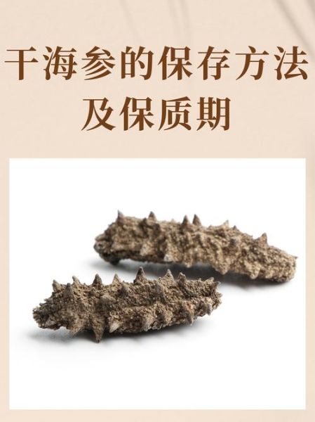 半干海参怎么保存最好_能放多久-第1张图片-山城妙识 半干海参怎么保存最好_能放多久-第1张图片-山城妙识