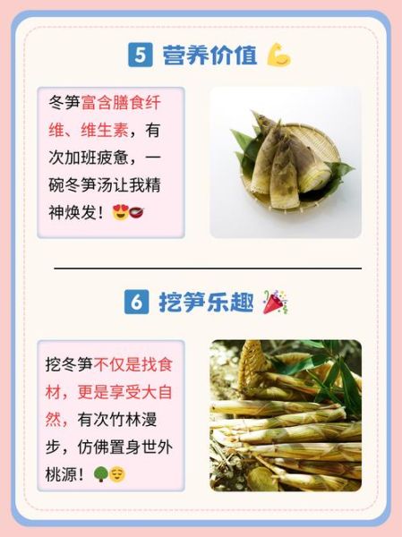 挖冬笋口诀是什么_如何找到冬笋-第2张图片-山城妙识 挖冬笋口诀是什么_如何找到冬笋-第2张图片-山城妙识