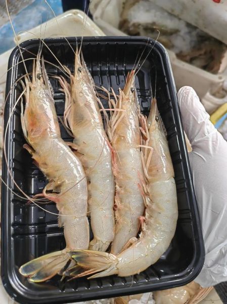 野生大对虾怎么做好吃_野生大对虾的做法大全-第1张图片-山城妙识