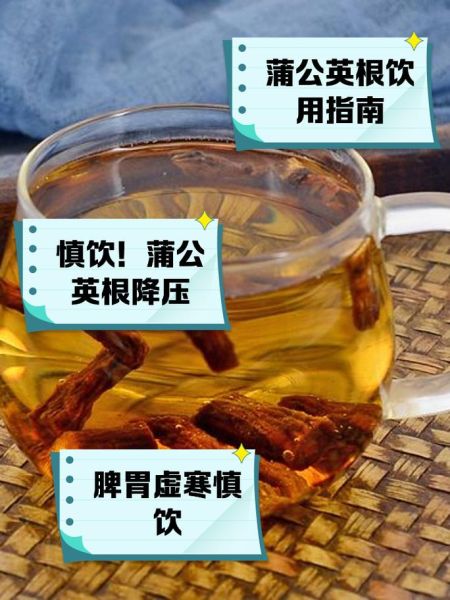 蒲公英怎么吃功效最好_蒲公英根茶和叶子哪个更营养-第3张图片-山城妙识 蒲公英怎么吃功效最好_蒲公英根茶和叶子哪个更营养-第3张图片-山城妙识