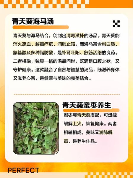 天葵的功效与作用禁忌_天葵怎么吃才安全-第3张图片-山城妙识 天葵的功效与作用禁忌_天葵怎么吃才安全-第3张图片-山城妙识