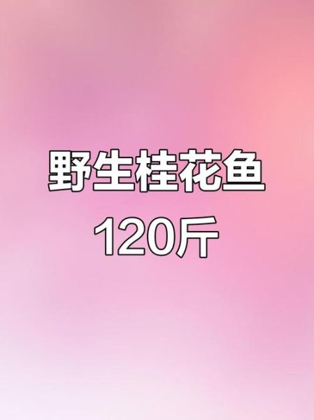 野生桂花鱼多少钱一斤_哪里能买到正宗货-第1张图片-山城妙识 野生桂花鱼多少钱一斤_哪里能买到正宗货-第1张图片-山城妙识