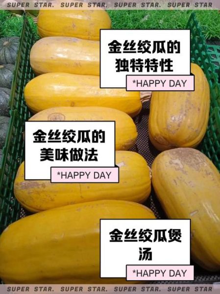 金丝绞瓜的功效与作用_金丝绞瓜怎么吃减肥-第1张图片-山城妙识 金丝绞瓜的功效与作用_金丝绞瓜怎么吃减肥-第1张图片-山城妙识