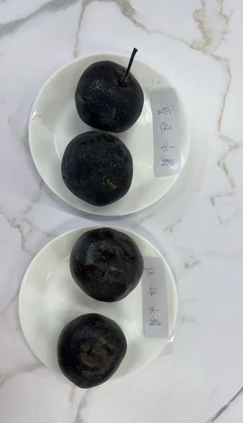 梨子怎么保存_梨子可以放冰箱吗-第2张图片-山城妙识 梨子怎么保存_梨子可以放冰箱吗-第2张图片-山城妙识