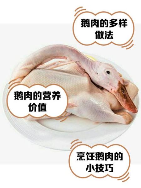 鹅肉的功效与作用_鹅肉怎么吃最好-第3张图片-山城妙识 鹅肉的功效与作用_鹅肉怎么吃最好-第3张图片-山城妙识