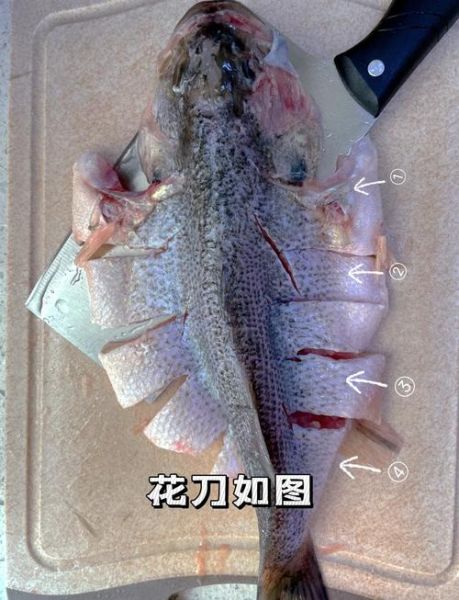 鲈鱼清蒸花刀怎么切_鲈鱼清蒸花刀切法图解-第2张图片-山城妙识 鲈鱼清蒸花刀怎么切_鲈鱼清蒸花刀切法图解-第2张图片-山城妙识