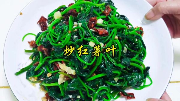 怎样炒红薯叶不苦_红薯叶怎么炒好吃又嫩-第3张图片-山城妙识 怎样炒红薯叶不苦_红薯叶怎么炒好吃又嫩-第3张图片-山城妙识