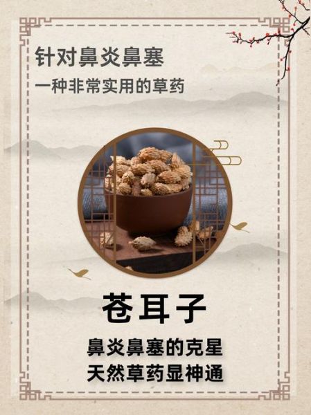 苍耳子治鼻炎偏方绝招_苍耳子怎么用效果最好-第2张图片-山城妙识 苍耳子治鼻炎偏方绝招_苍耳子怎么用效果最好-第2张图片-山城妙识