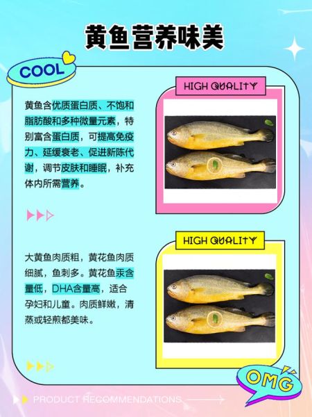 黄鱼和黄花鱼是同一种鱼吗_区别与选购指南-第2张图片-山城妙识 黄鱼和黄花鱼是同一种鱼吗_区别与选购指南-第2张图片-山城妙识