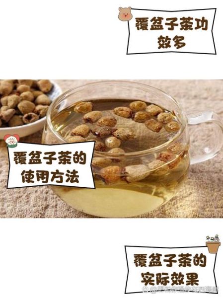 覆盆子茶对顺产有用吗_孕妇什么时候喝-第2张图片-山城妙识 覆盆子茶对顺产有用吗_孕妇什么时候喝-第2张图片-山城妙识