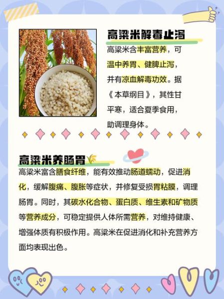 高粱米的功效与作用禁忌_什么人不能吃高粱米-第2张图片-山城妙识 高粱米的功效与作用禁忌_什么人不能吃高粱米-第2张图片-山城妙识