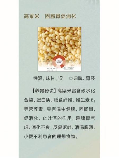 高粱米的功效与作用禁忌_什么人不能吃高粱米-第1张图片-山城妙识 高粱米的功效与作用禁忌_什么人不能吃高粱米-第1张图片-山城妙识