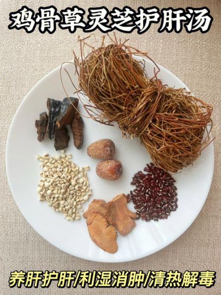 鸡骨草可以天天喝吗_鸡骨草伤肝还是护肝-第2张图片-山城妙识 鸡骨草可以天天喝吗_鸡骨草伤肝还是护肝-第2张图片-山城妙识