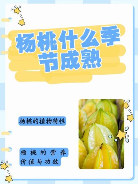 阳桃和杨桃的区别_阳桃是不是杨桃-第2张图片-山城妙识 阳桃和杨桃的区别_阳桃是不是杨桃-第2张图片-山城妙识