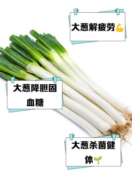 大葱补肾壮阳吗_大葱壮阳效果怎么样-第1张图片-山城妙识