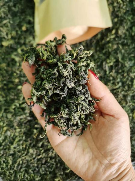 刺五加茶多少钱一斤_刺五加茶价格区间-第1张图片-山城妙识