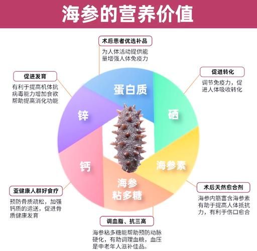 刺参和海参的区别是什么_刺参和海参哪个营养价值高-第2张图片-山城妙识 刺参和海参的区别是什么_刺参和海参哪个营养价值高-第2张图片-山城妙识