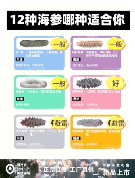 刺参和海参的区别是什么_刺参和海参哪个营养价值高-第1张图片-山城妙识 刺参和海参的区别是什么_刺参和海参哪个营养价值高-第1张图片-山城妙识