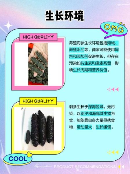 刺参和海参的区别是什么_刺参和海参哪个营养价值高-第3张图片-山城妙识 刺参和海参的区别是什么_刺参和海参哪个营养价值高-第3张图片-山城妙识