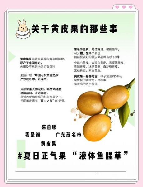 吃黄皮的好处和坏处_黄皮吃多了会上火吗-第2张图片-山城妙识 吃黄皮的好处和坏处_黄皮吃多了会上火吗-第2张图片-山城妙识