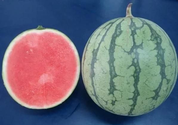 虾和西瓜能一起吃吗_会中毒吗-第1张图片-山城妙识 虾和西瓜能一起吃吗_会中毒吗-第1张图片-山城妙识