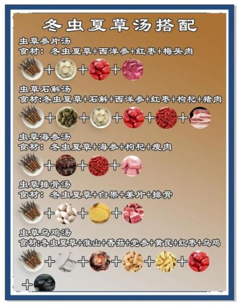 冬虫夏草炖汤一次放几根_用量标准-第1张图片-山城妙识 冬虫夏草炖汤一次放几根_用量标准-第1张图片-山城妙识