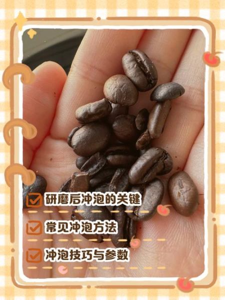 咖啡豆可以直接冲泡吗_咖啡豆不磨能泡出咖啡吗-第1张图片-山城妙识 咖啡豆可以直接冲泡吗_咖啡豆不磨能泡出咖啡吗-第1张图片-山城妙识