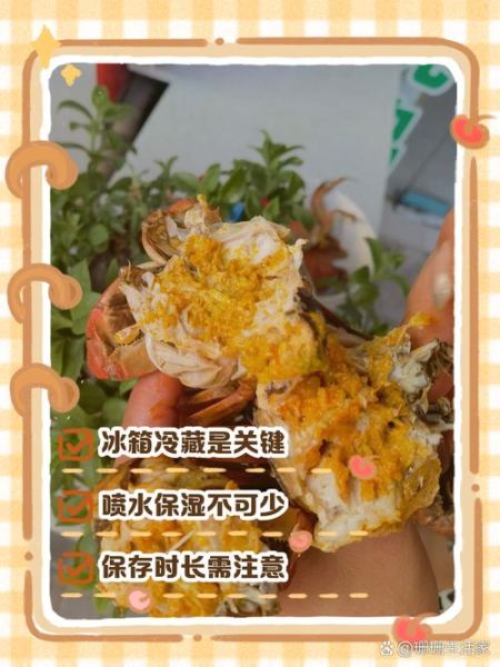 螃蟹休眠和死的区别_如何判断螃蟹是死是活-第3张图片-山城妙识 螃蟹休眠和死的区别_如何判断螃蟹是死是活-第3张图片-山城妙识