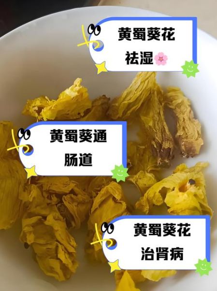 黄蜀葵花泡水喝的功效与禁忌_哪些人不能喝-第1张图片-山城妙识 黄蜀葵花泡水喝的功效与禁忌_哪些人不能喝-第1张图片-山城妙识