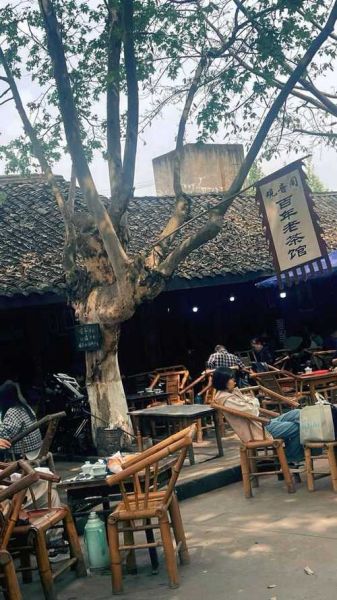 四川油茶哪里最正宗_成都老茶馆推荐-第3张图片-山城妙识