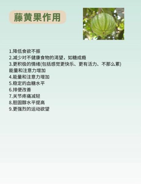 藤黄果能减肥吗_藤黄果副作用有哪些-第1张图片-山城妙识 藤黄果能减肥吗_藤黄果副作用有哪些-第1张图片-山城妙识