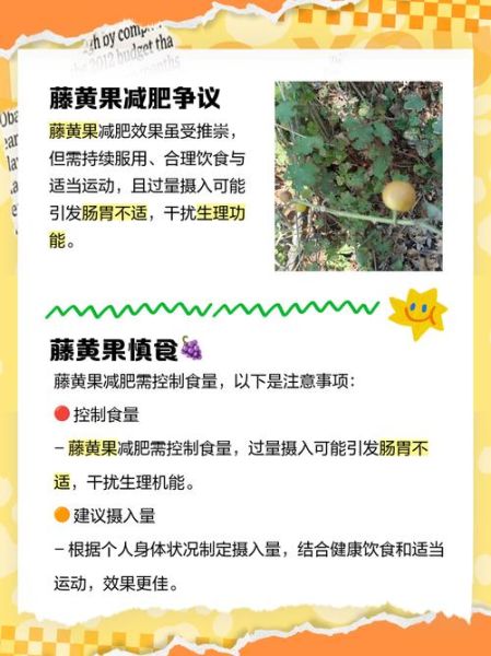 藤黄果能减肥吗_藤黄果副作用有哪些-第3张图片-山城妙识 藤黄果能减肥吗_藤黄果副作用有哪些-第3张图片-山城妙识