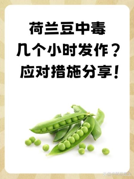 荷兰豆有毒吗_荷兰豆生吃会中毒吗-第1张图片-山城妙识 荷兰豆有毒吗_荷兰豆生吃会中毒吗-第1张图片-山城妙识