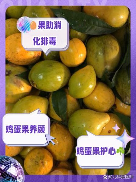 鸡蛋果的营养价值_鸡蛋果吃了有什么好处-第2张图片-山城妙识 鸡蛋果的营养价值_鸡蛋果吃了有什么好处-第2张图片-山城妙识