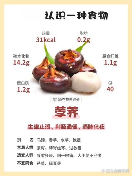 马蹄的功效与作用_马蹄的药用价值有哪些-第2张图片-山城妙识 马蹄的功效与作用_马蹄的药用价值有哪些-第2张图片-山城妙识