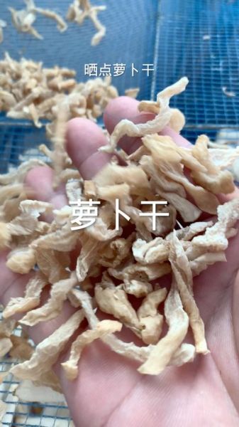 腌萝卜干怎么做_萝卜干怎么保存不霉变-第1张图片-山城妙识 腌萝卜干怎么做_萝卜干怎么保存不霉变-第1张图片-山城妙识