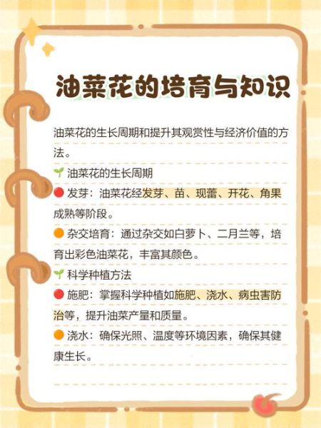 春季油菜花种植时间_油菜花春季管理要点-第2张图片-山城妙识 春季油菜花种植时间_油菜花春季管理要点-第2张图片-山城妙识