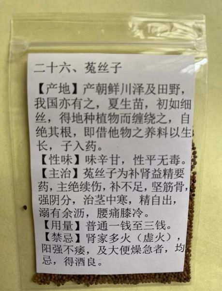 菟丝花有毒吗_菟丝花怎么养-第1张图片-山城妙识 菟丝花有毒吗_菟丝花怎么养-第1张图片-山城妙识