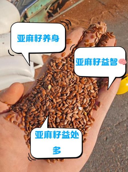 亚麻籽正确吃法_亚麻籽一天吃多少克-第2张图片-山城妙识 亚麻籽正确吃法_亚麻籽一天吃多少克-第2张图片-山城妙识