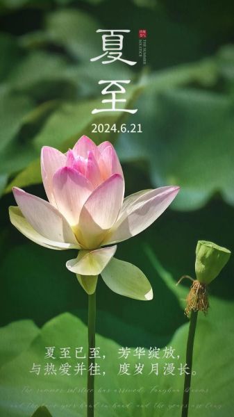 夏至图片大全哪里找_夏至图片大全怎么下载-第2张图片-山城妙识 夏至图片大全哪里找_夏至图片大全怎么下载-第2张图片-山城妙识