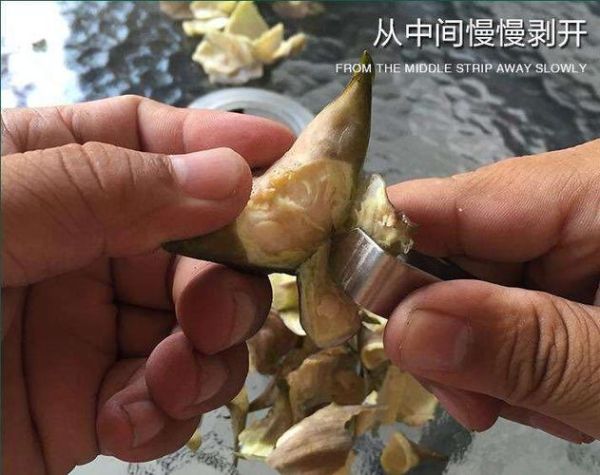菱角怎么剥壳_新鲜菱角快速去壳技巧-第3张图片-山城妙识 菱角怎么剥壳_新鲜菱角快速去壳技巧-第3张图片-山城妙识