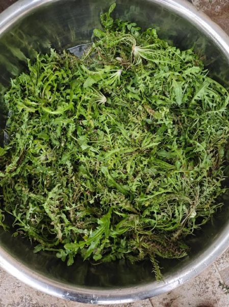 新鲜荠菜怎么吃_荠菜的做法大全-第3张图片-山城妙识 新鲜荠菜怎么吃_荠菜的做法大全-第3张图片-山城妙识