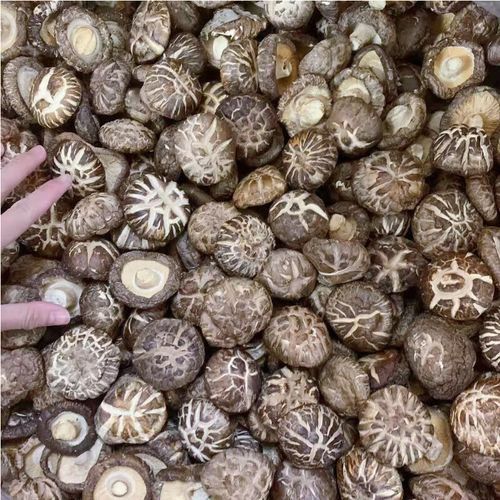 干花菇怎么泡发_干花菇泡发多久最好-第2张图片-山城妙识 干花菇怎么泡发_干花菇泡发多久最好-第2张图片-山城妙识